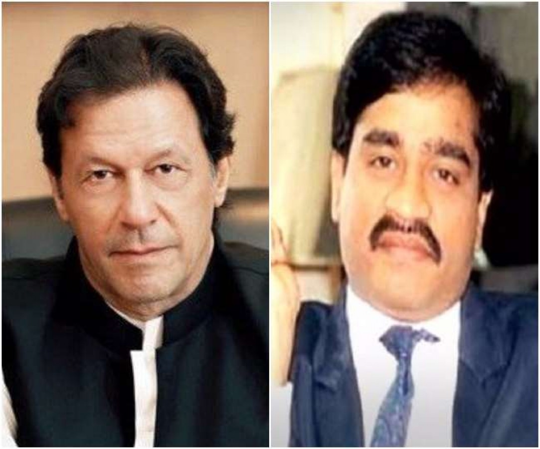 Don Case's Instagram, Twitter & Facebook on IDCrawl